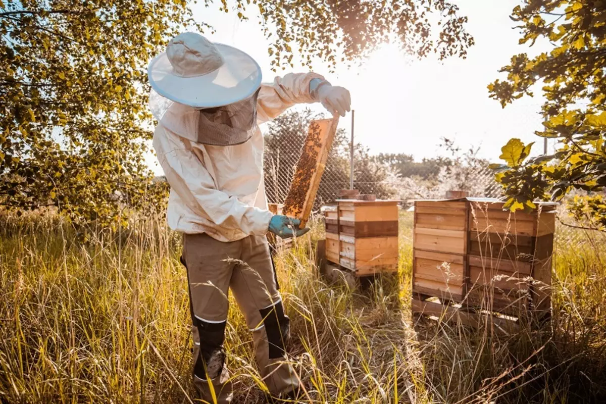 蜂蜜來自保時捷。