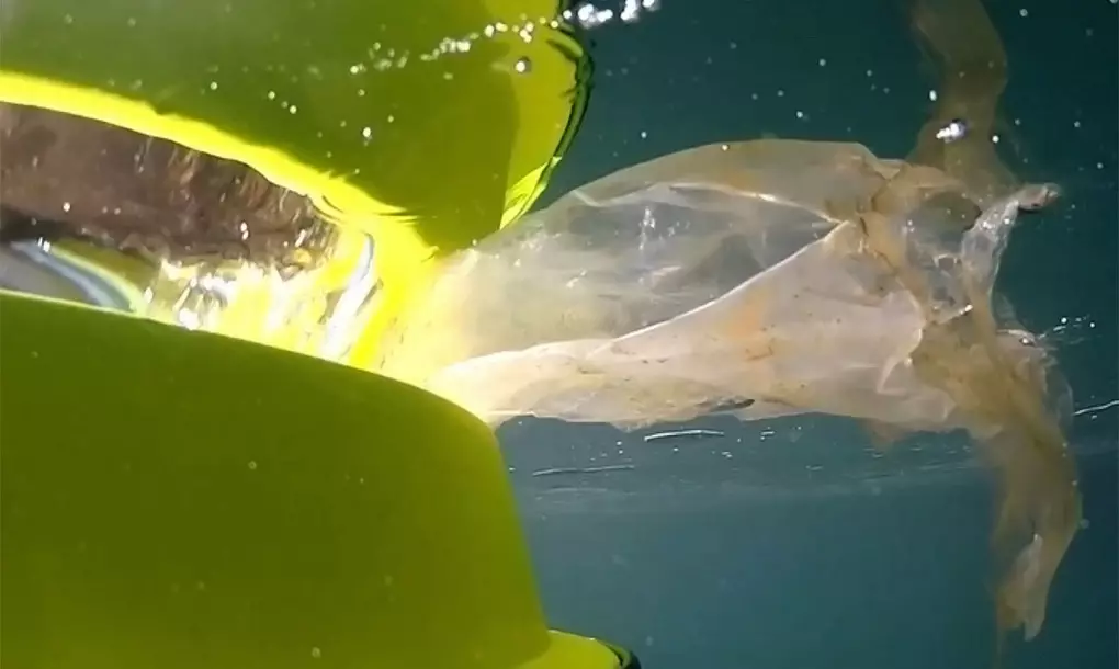 Yüzen çöp toplayıcı okyanusta plastik atık toplar
