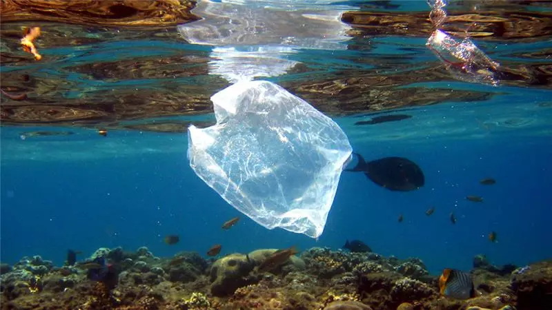 Пластыкавы смецце перавысіць колькасць рыбы ў моры да 2050 года. Facepla.net апошнія навіны экалогіі