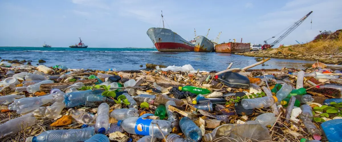 Пластыкавы смецце перавысіць колькасць рыбы ў моры да 2050 года