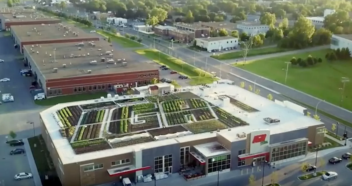 De supermerk yn Montreal is de earste yn Kanada, dy't produkten produseart yn 'e eigen dak Garden