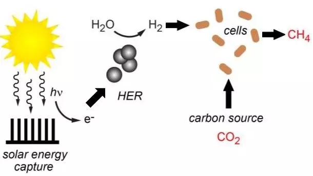 Il-metodu ibridi ta 'fotosintesi artifiċjali jipproduċi l-idroġenu u l-metanu