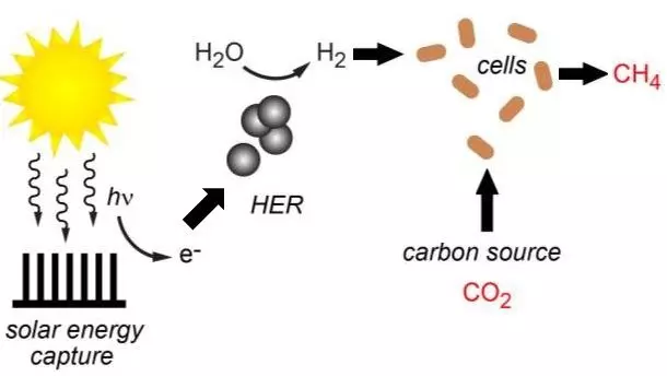 Thezọ ngwakọ ngwakọ keakamere na metdrugen na methane. FacePla.net News News