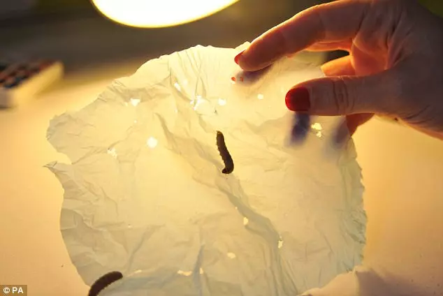 Caterpillar yardımıyla plastiğin geri dönüşümü