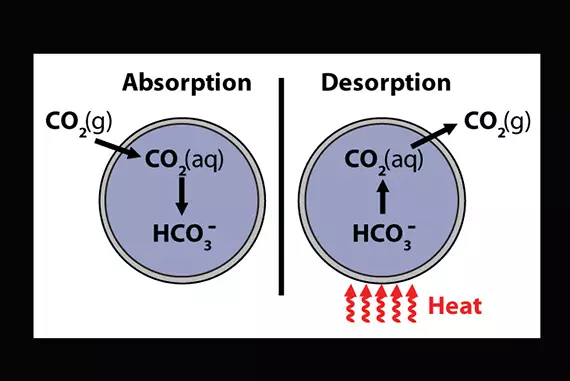Innovativer Carbon-Fang - CO2-Falle
