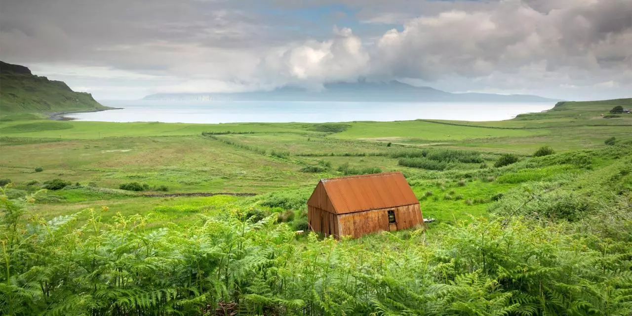 O le tamai motu o Scotland ua uma ona maua ai latou ma le malosi