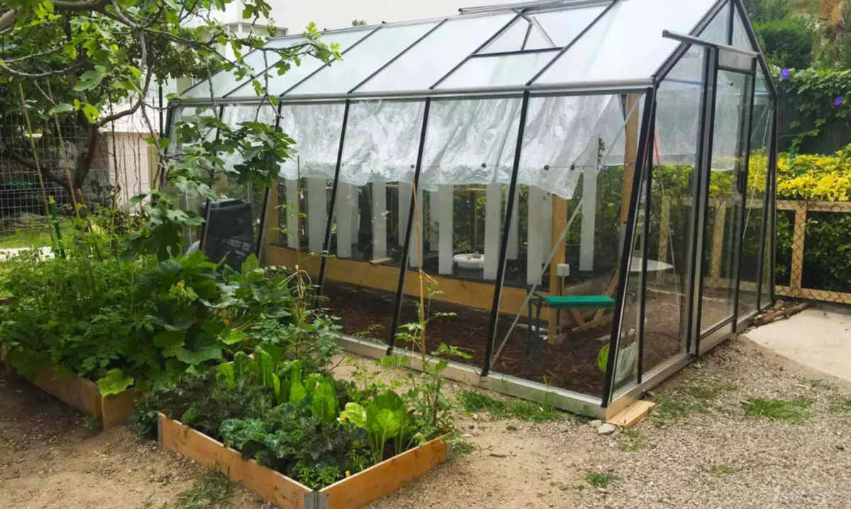 Solární skleníkovou aquaponics produkuje až 400 kg produktů ročně