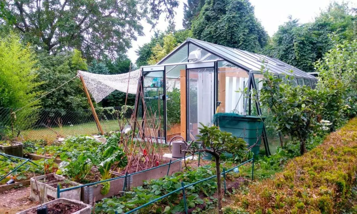 Solar Aquaponic Greenhouse produseer tot 400 kg produkte per jaar