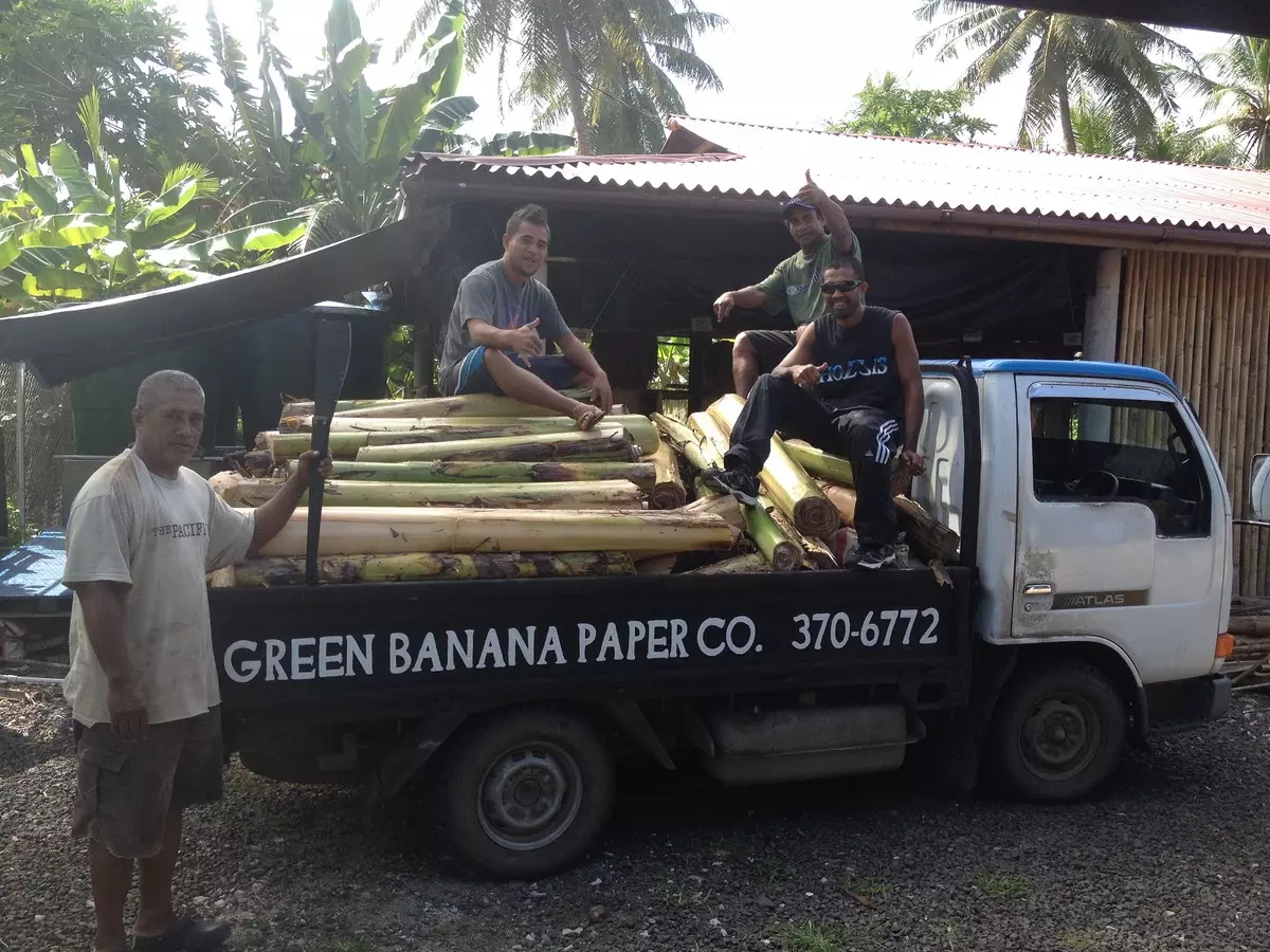 Рециклирање на банански дрвја во Ecocuse