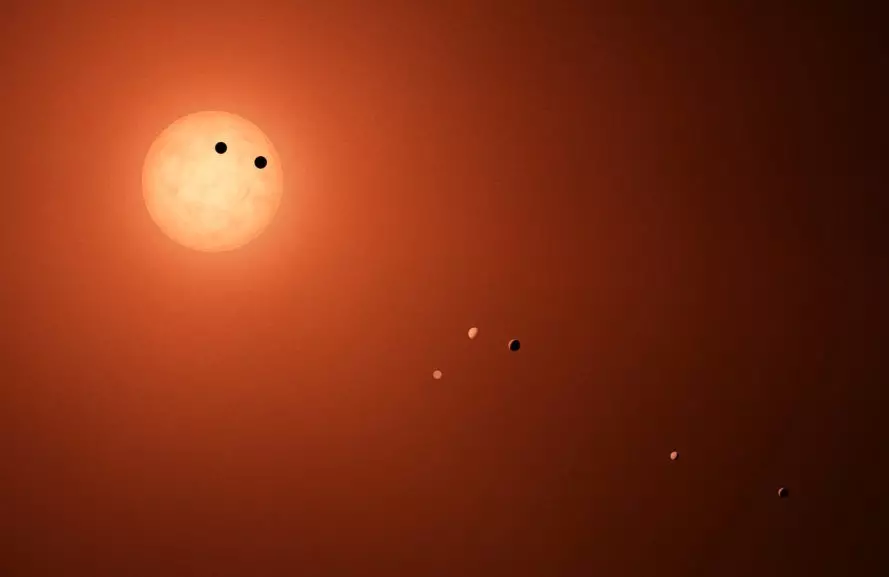NASA heeft 7 nieuwe planeten ontdekt, de grootte van de grond, buiten het zonnestelsel