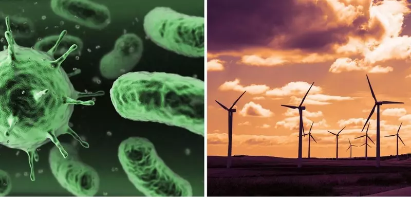 Winziger Windkraftwerk mit Bakterien kann Ihr Smartphone aufladen.