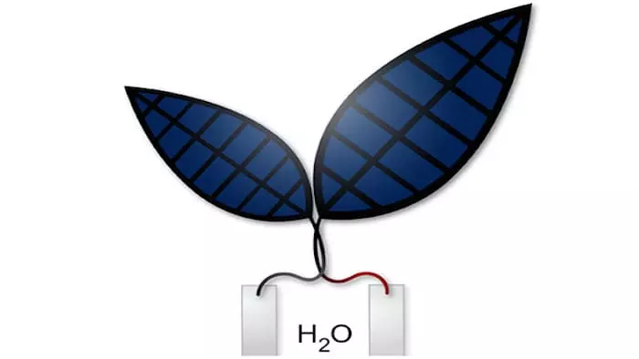 Bionic lak photosynthesis er nú 10 sinnum skilvirkari en náttúruleg