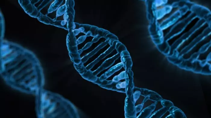 Nhiệt kế mỏng nhất trên thế giới được sản xuất từ ​​DNA. Facepla.net Tin tức sinh thái mới nhất