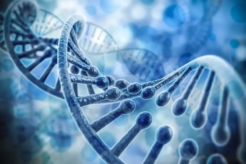 Nhiệt kế mỏng nhất trên thế giới được sản xuất từ ​​DNA