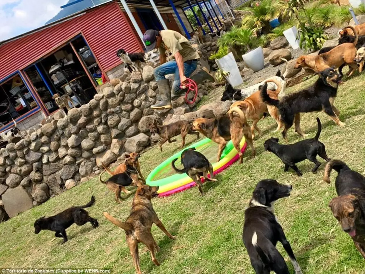 Dog paradisa ao Costa Rica