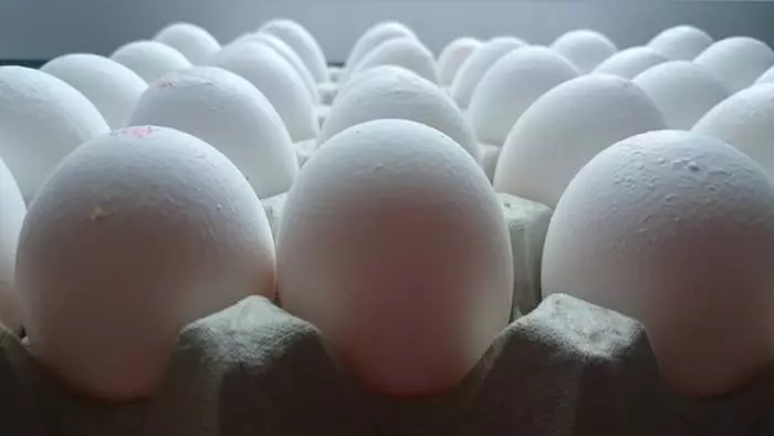 De eierschaal maakt de bioplastiek sterker. FacePla.net Laatste ecologie Nieuws