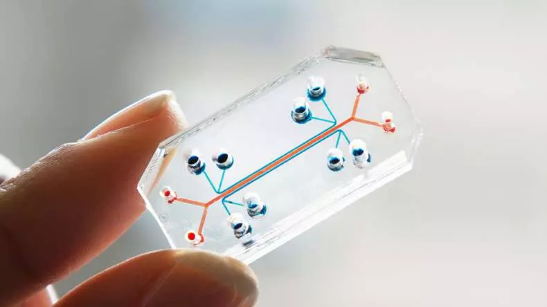 Puce informatique alimentée par l'énergie d'origine biologique