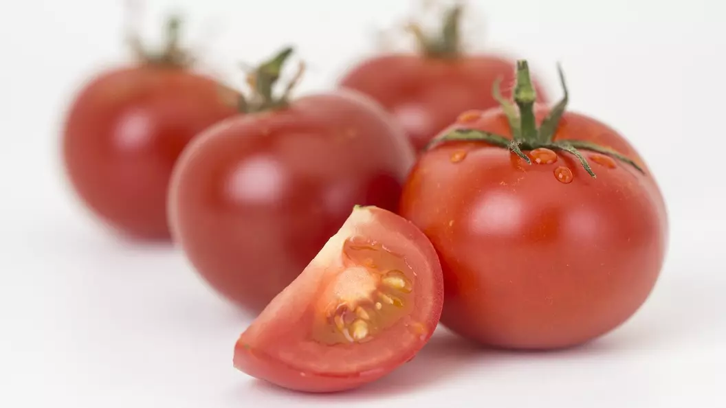 ٹماٹر اب دواؤں کے کنکشن بنا سکتے ہیں. Facepla.net تازہ ترین ماحولیاتی خبریں