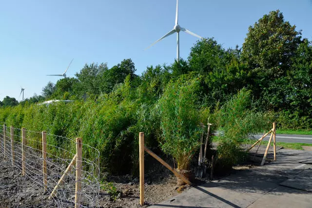 Bordi i Rrugës së Bamboo zvogëlon ndotjen