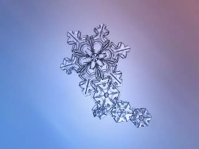 Izithombe ze-macro zama-snowflakes