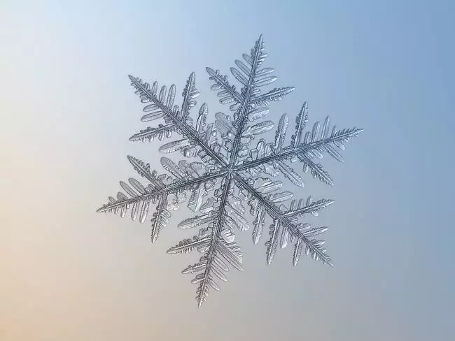 Macro foto nke snowflakes