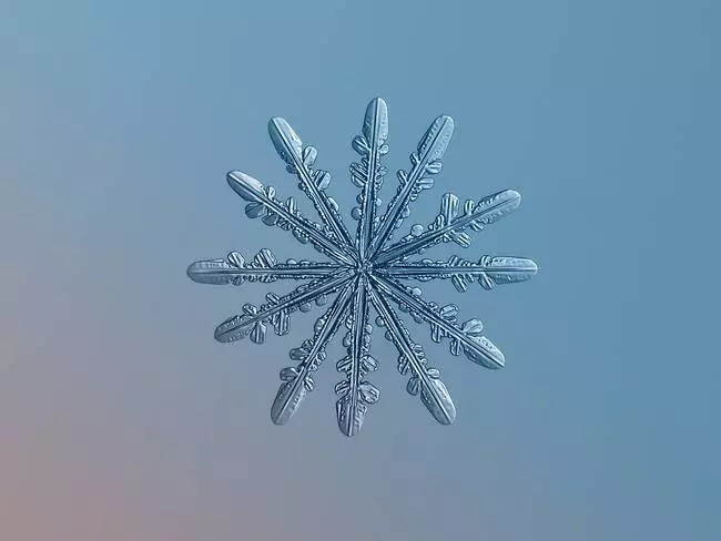 Fotos de macro de copos de nieve