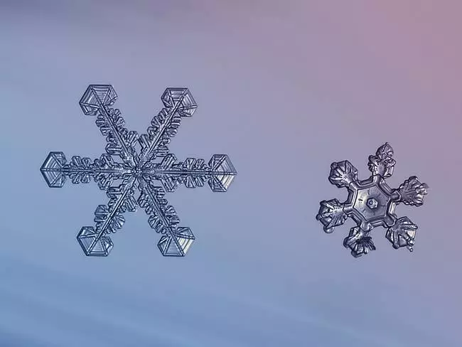 Izithombe ze-macro zama-snowflakes
