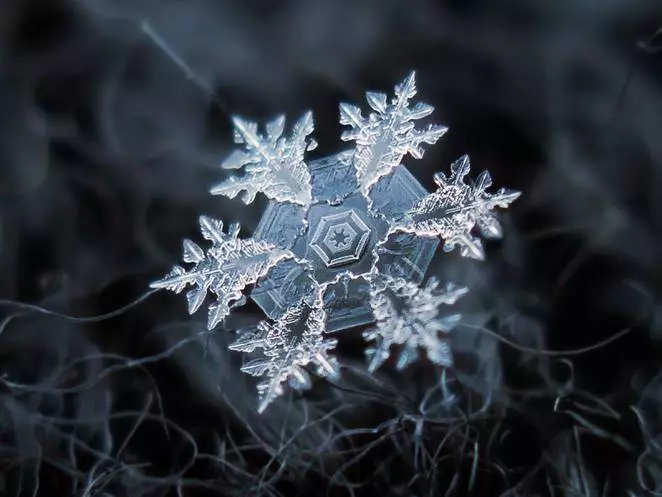 Makro Fotografie snehových vločiek