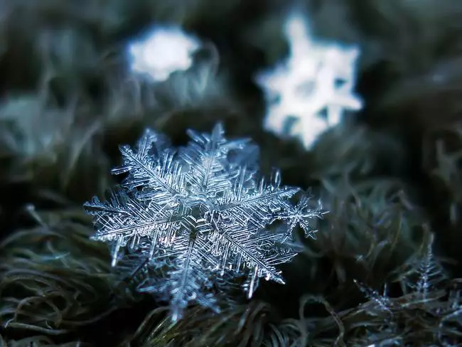 Wêneyên Makro yên Snowflakes