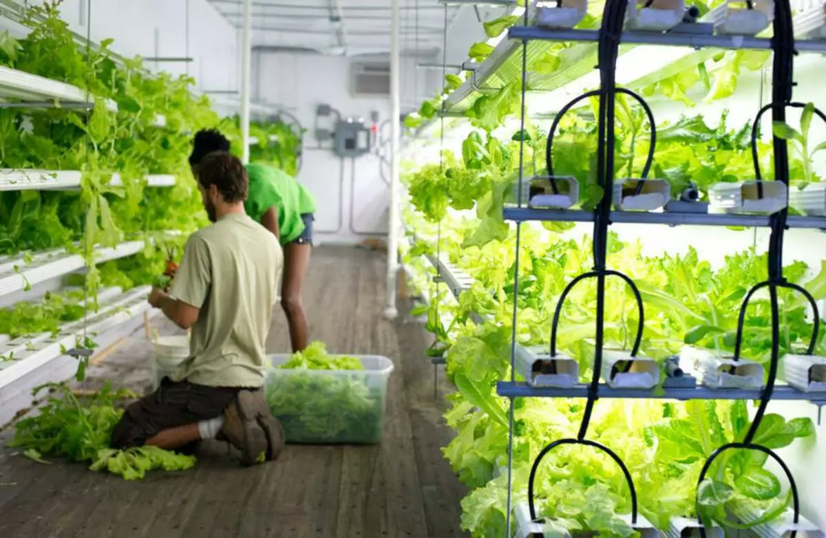 ເຮືອນແກ້ວທີ່ມີລະບົບ hydroponics ເປັນອຸປະກອນການສຶກສາສໍາລັບນັກຮຽນ