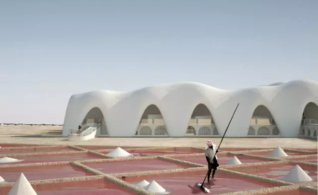 Ο ολλανδικός αρχιτέκτονας σχεδιάζει να χτίσει στην έρημο της πόλης από το αλάτι. Facepla.net Τελευταίες ειδήσεις οικολογίας