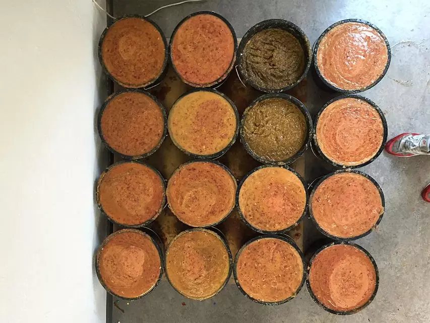 रॉटरडैम के छात्र चमड़े के उत्पादों में खाद्य अपशिष्ट प्रसंस्करण