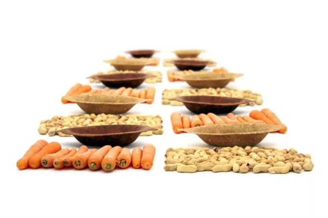 Біорозкладані одноразові тарілки виготовлені з харчових відходів