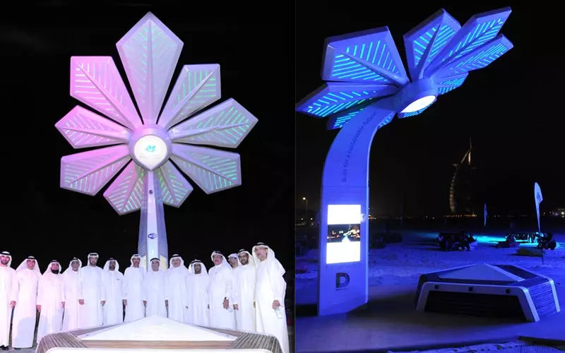 Slim palmbome in Dubai