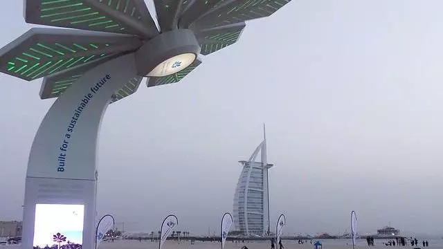 Slim palmbome in Dubai