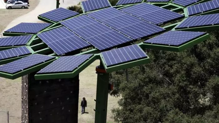 James Cameron dod milzu saules saulespuķes skolai Malibu