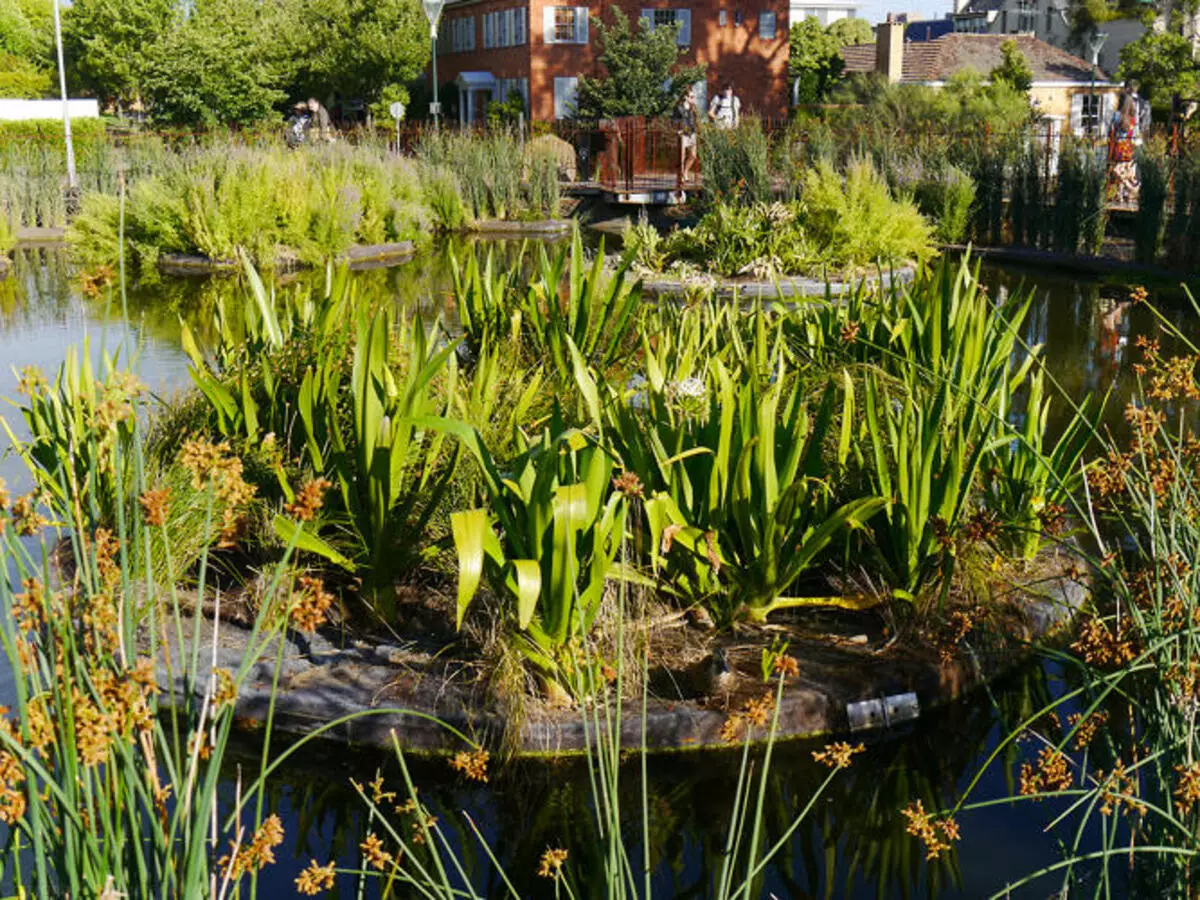 Wasserreinigung mit schwimmenden Inseln