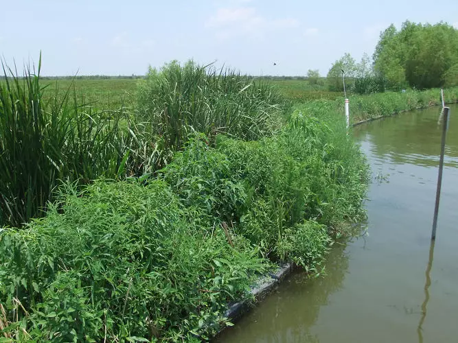 Water suiwering met behulp van swaai eilande