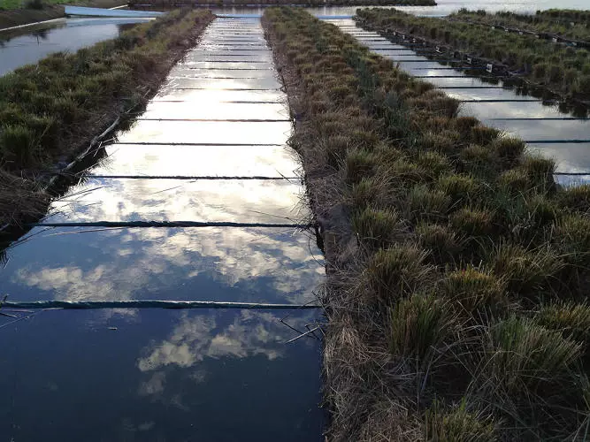 Water suiwering met behulp van swaai eilande