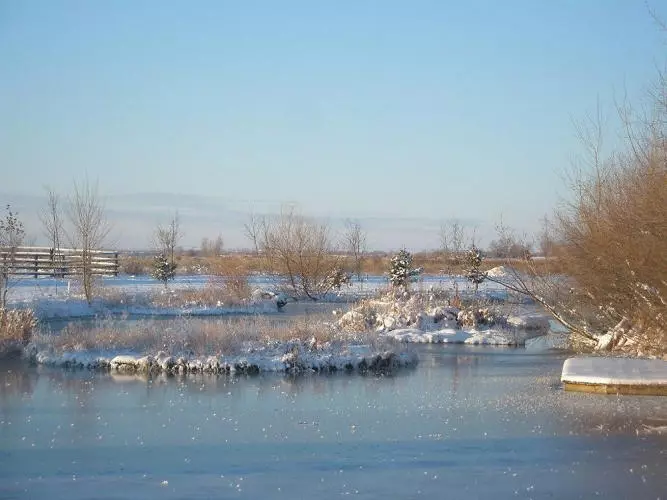 Purificació d'aigua mitjançant illes flotants