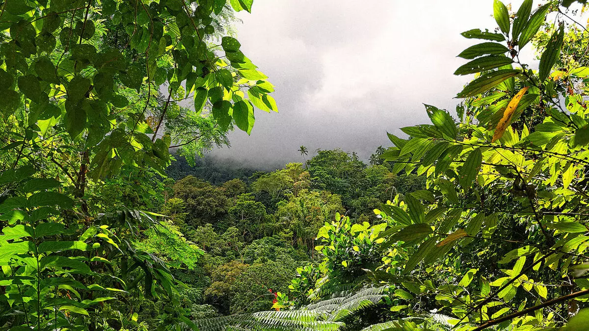 Costa Rica - 100% uusiutuvien energialähteiden energiasta