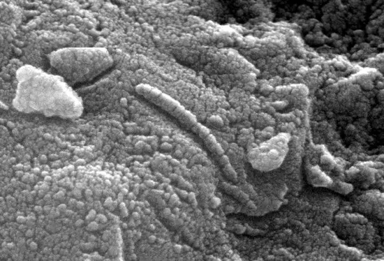 Meteorīti atklāja pārakmeņojušās atklātās baktērijas