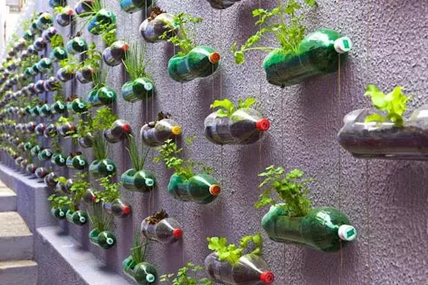 悲伤的灰色棚屋或围栏的内表面很容易使用所有相同的塑料瓶变成时尚的垂直花园。