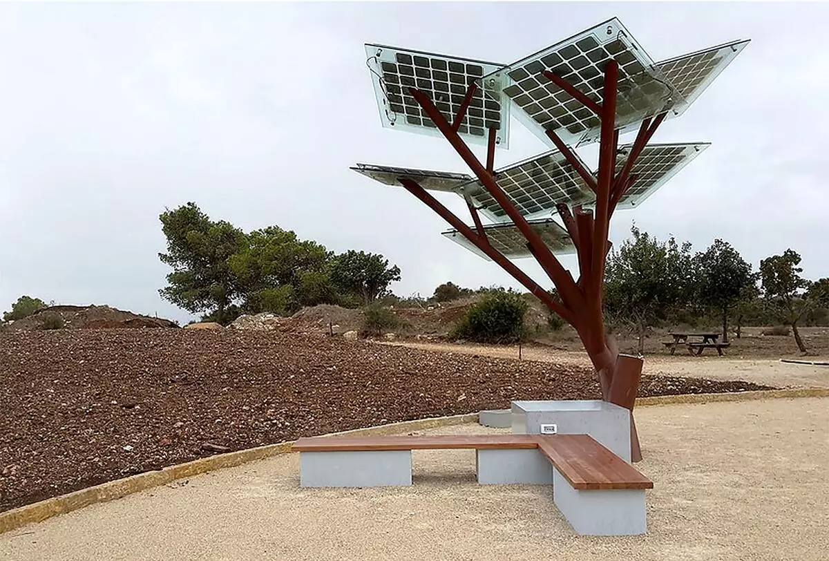 Sunny Tree în Israel. Facepla.net cele mai recente știri despre ecologie
