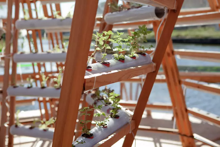 Floating ultra-modern greenhouse