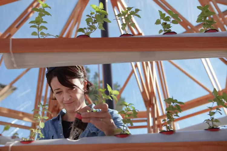 Floating ultra-modern greenhouse