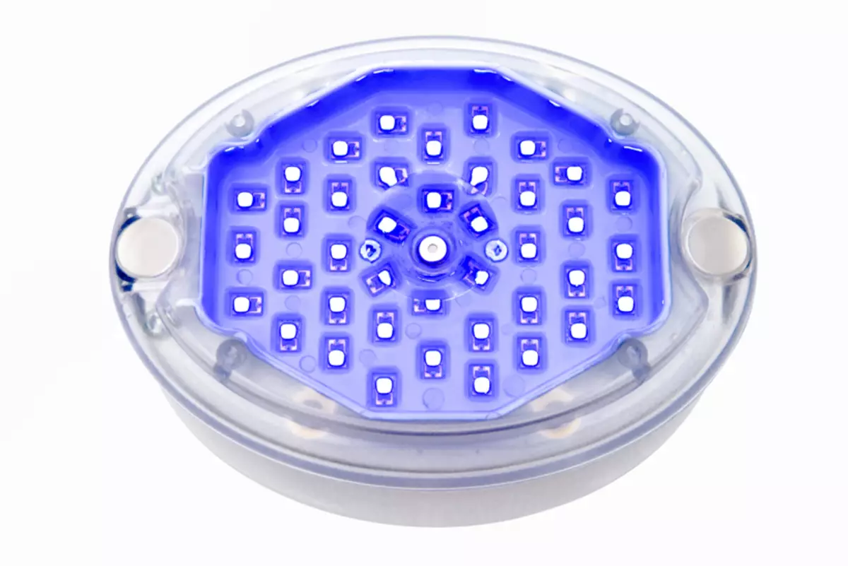 Philips lufton me psoriasis me LED blu. Facepla.net Lajmet e fundit ekologjike