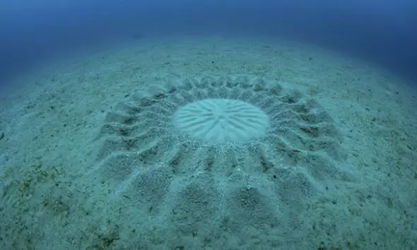 Salaperäinen geometria: mallit Ocean Day