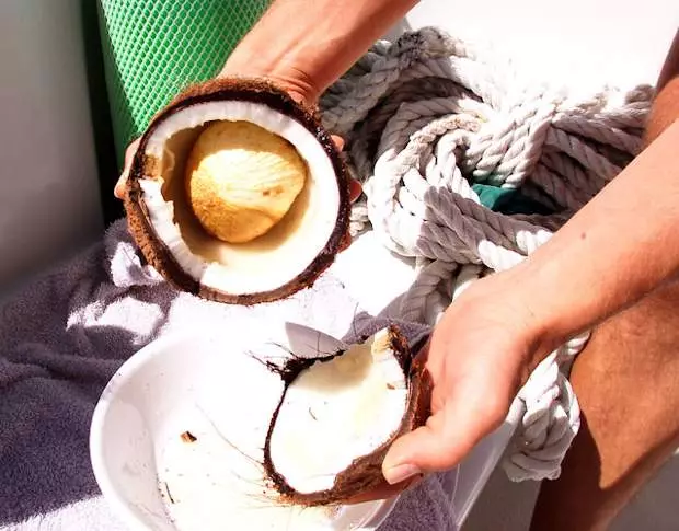 Coconut will help store hydrogen efficiently and safely.