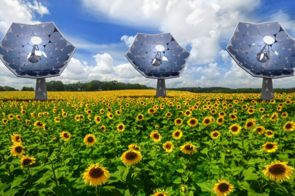 Fotoelektriska solrosor från IBM producerar el och vatten. Facepla.net senaste ekologi nyheter